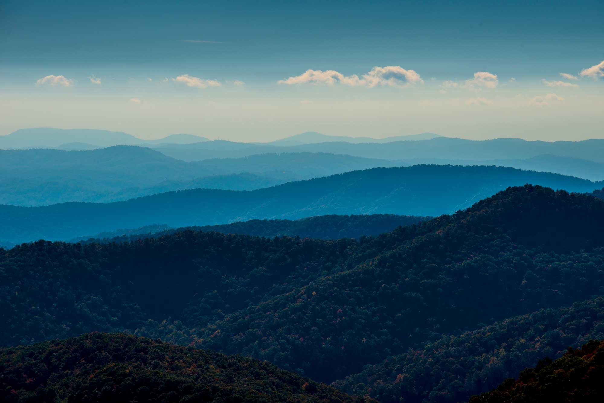 Services | SelectOne